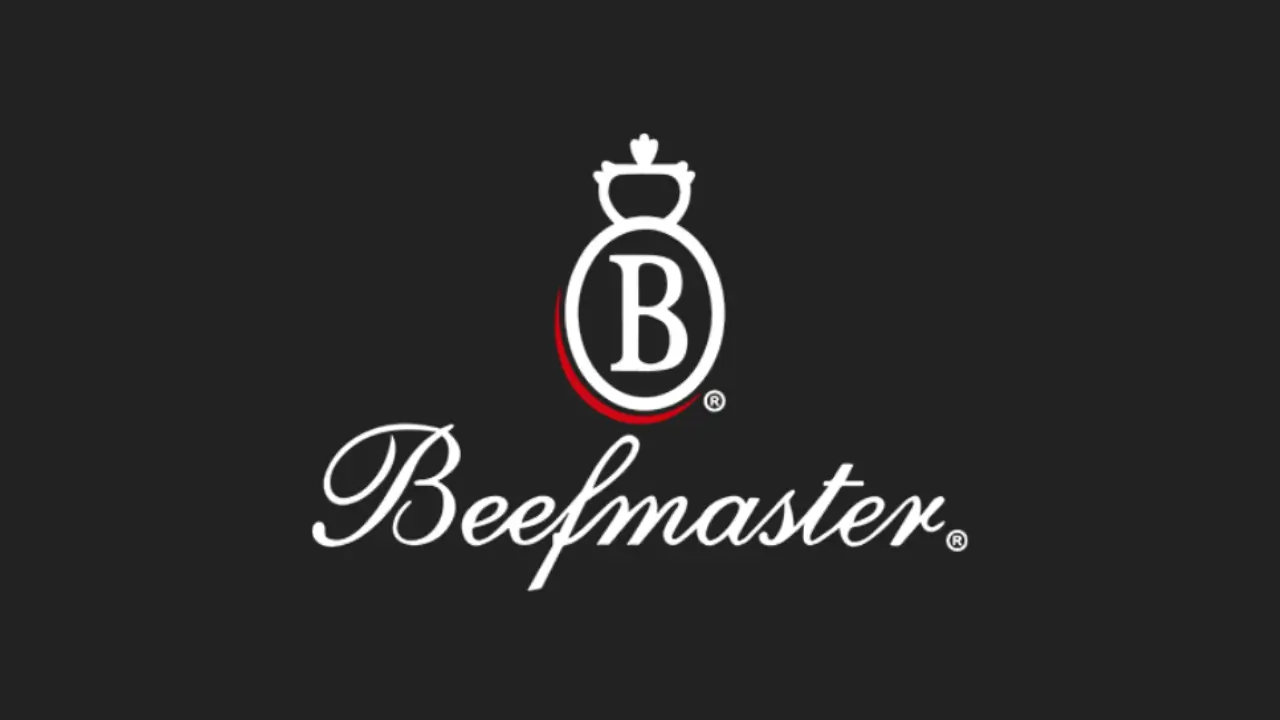Beefmaster Group Graduate Bursary Opportunities 2026 | Apply Today